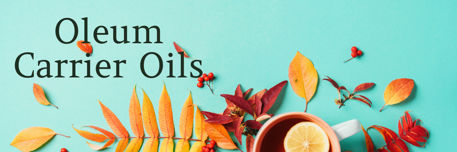 Oleum Carrier oils – Oleum Cosmetics