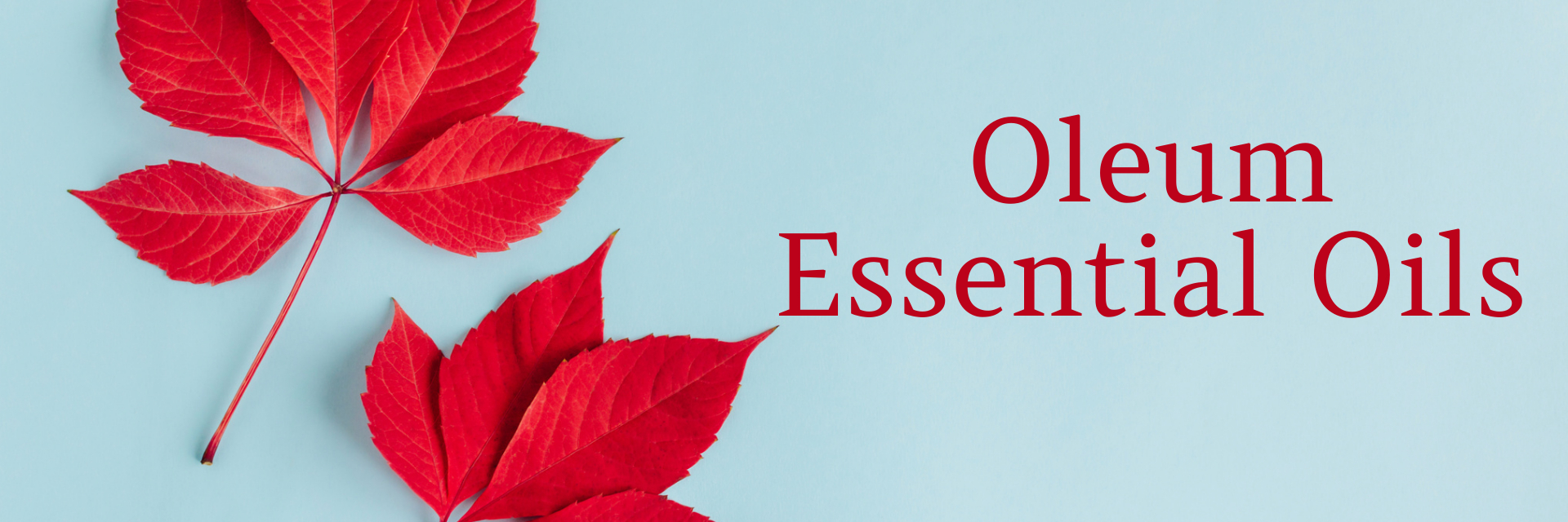 Oleum Essential Oils – Oleum Cosmetics